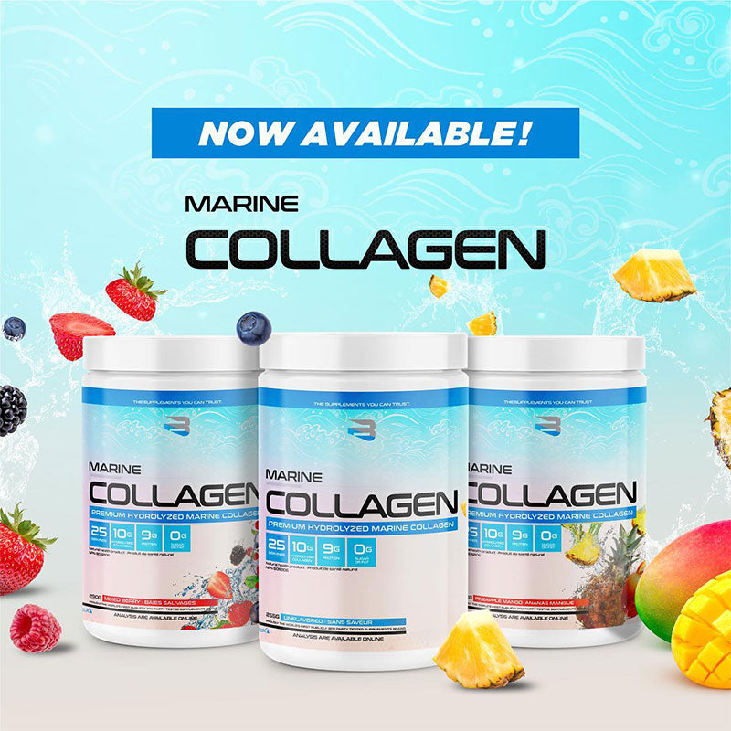 MARINE COLLAGEN 290g - Believe Supplement– Fit Shack